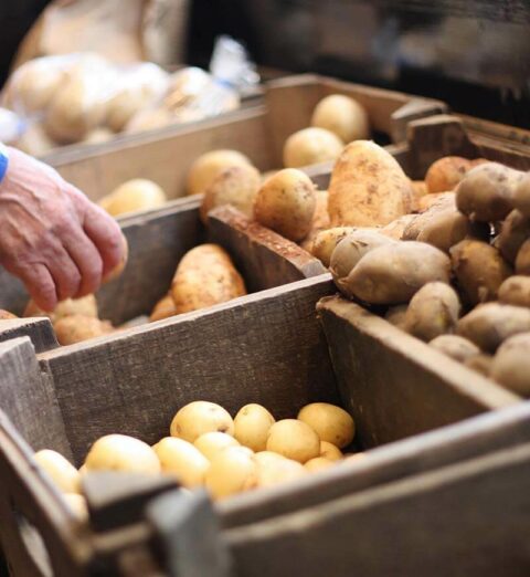 Sharkar Farms | Fresh, Naturally Grown Produce in China, Michigan